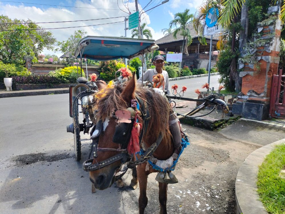 Dokar, Transportasi Tradisional yang Mulai Tersisih di Era Digitalisasi ...